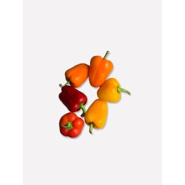 Paprika mix mini