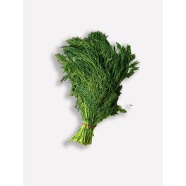 Dille – Aromatisch Kruid voor Verfijnde Gerechten