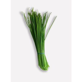 Bieslook – Mild en Verfrissend voor Diverse Gerechten