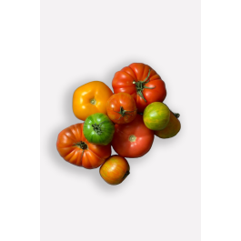 Tomaat classic mix grof
