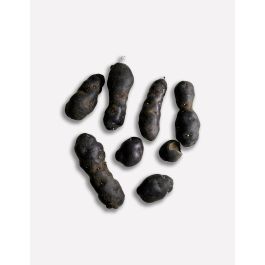 Aardappel vitelotte noir