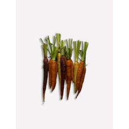 Wortel mini mix