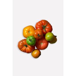 Tomaat Classic Mix Grof – Kleurrijke en smaakvolle tomatenmix